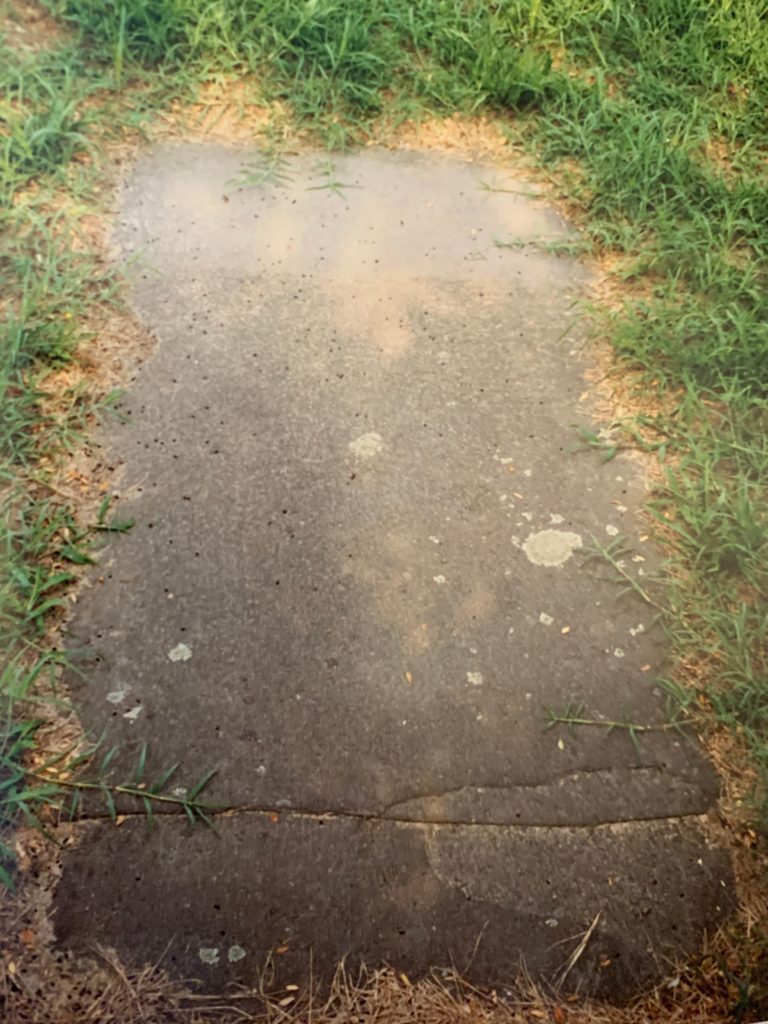 Chelsea Plantation (King William County, Virginia) | Todd's Archives